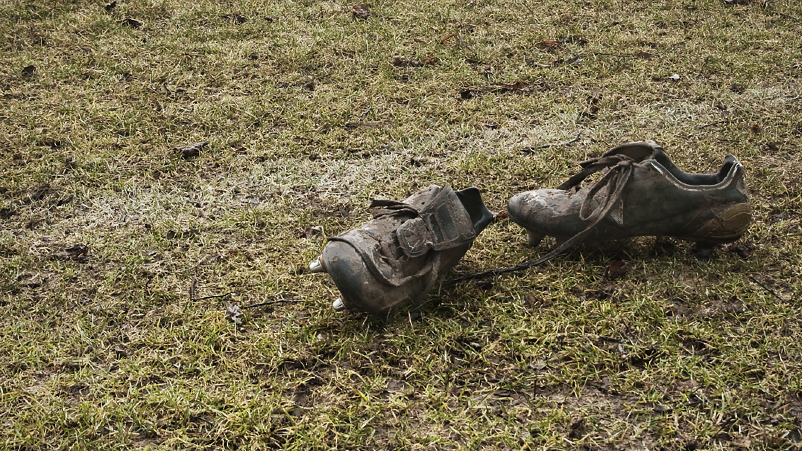 David Neiman - Athlete Interactive • Athlete Branding & Social Media ...